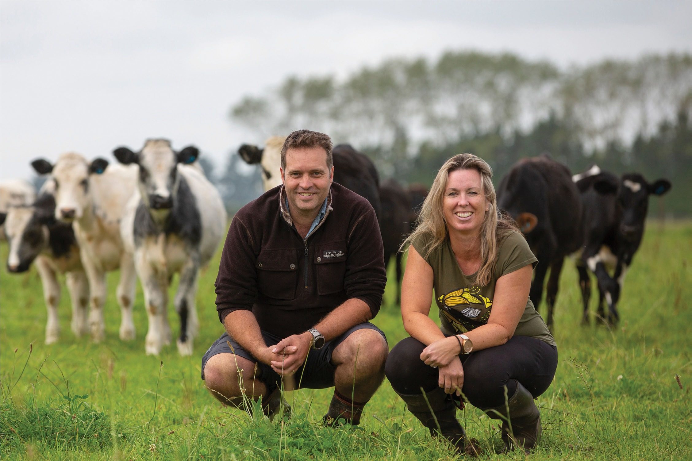 Beefing up the dairy calf crop - NZ Dairy Exporter Beefing up the dairy calf crop - NZ Dairy Exporter